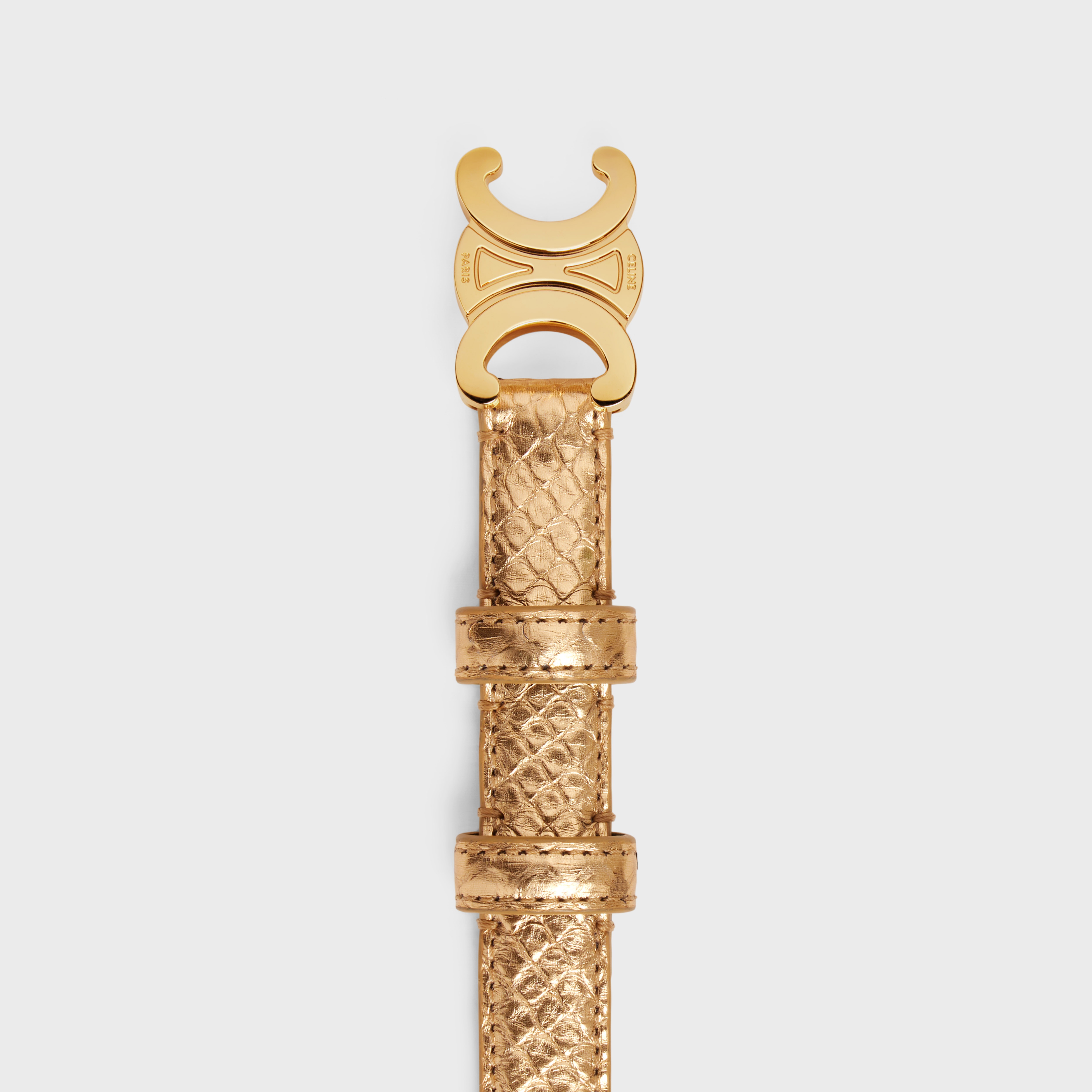 CELINE Small Triomphe Belt in LAMINATED PYTHON | REVERSIBLE
