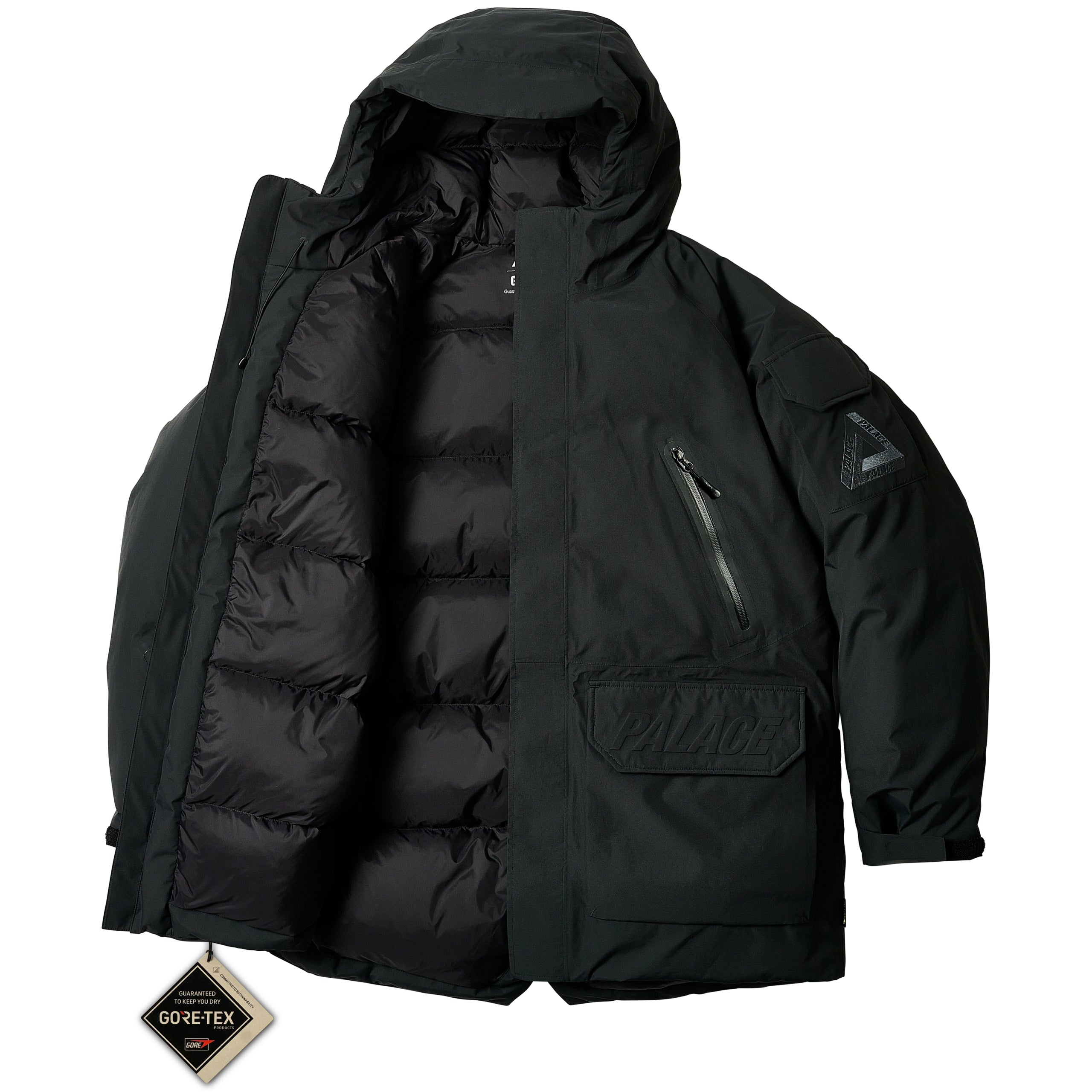 PALACE GORE-TEX CARGO DOWN PARKA BLACK | REVERSIBLE