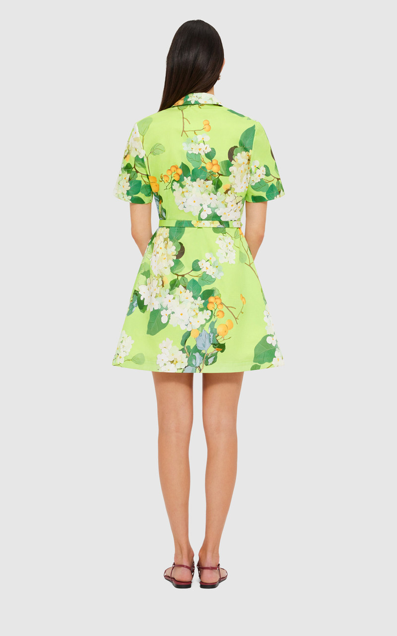 LEO LIN Brigitte Mini Dress - Hydrangea In Lime green | REVERSIBLE